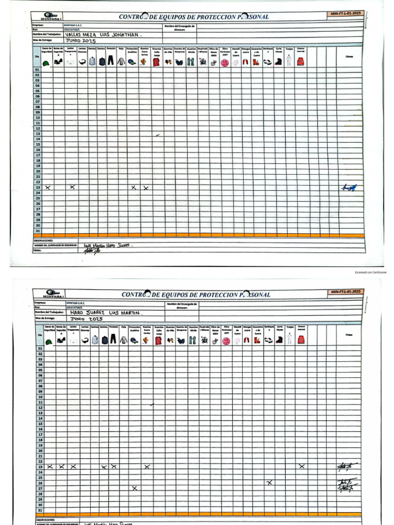 Control de Entrega de EPPs - Junio 2025 | PDF
