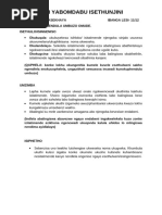 Izisho Nezincazelo Zesizulu | PDF