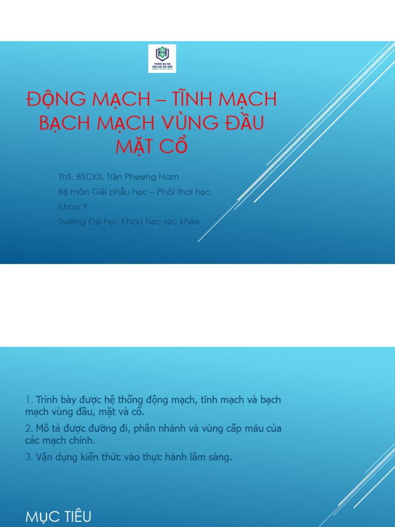 DM TM BM Dau Mat Co | PDF