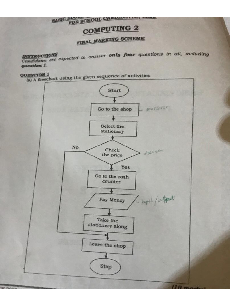 Bece 2025 Computing | PDF