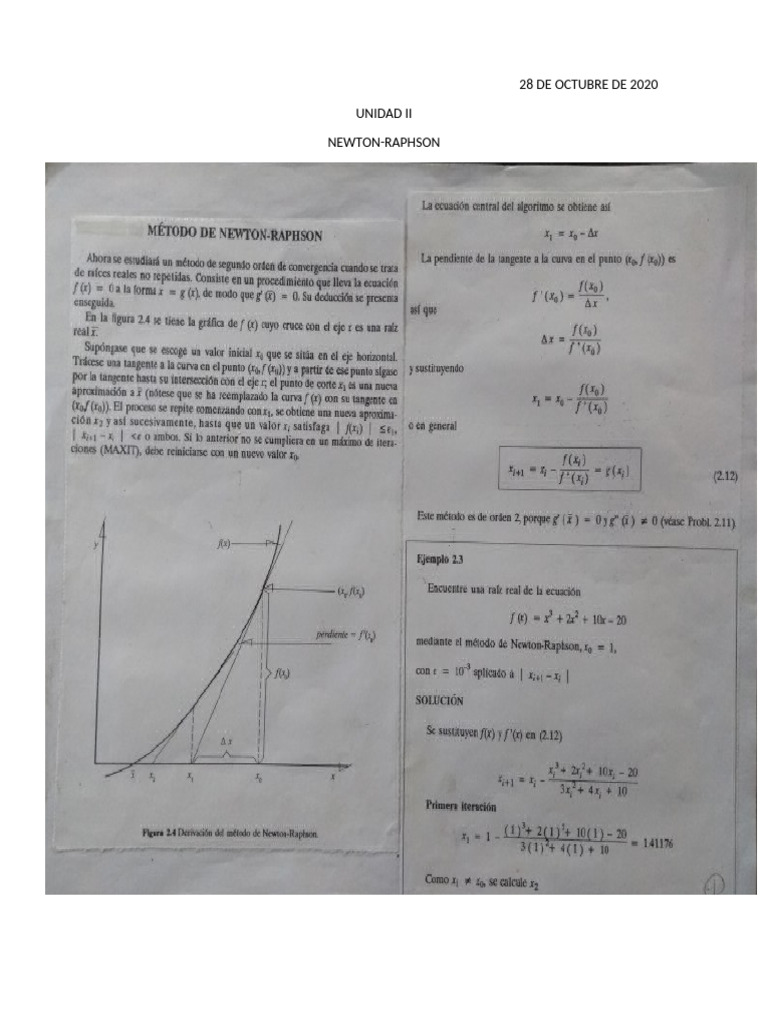 Metodo de Newton-Raphson | PDF