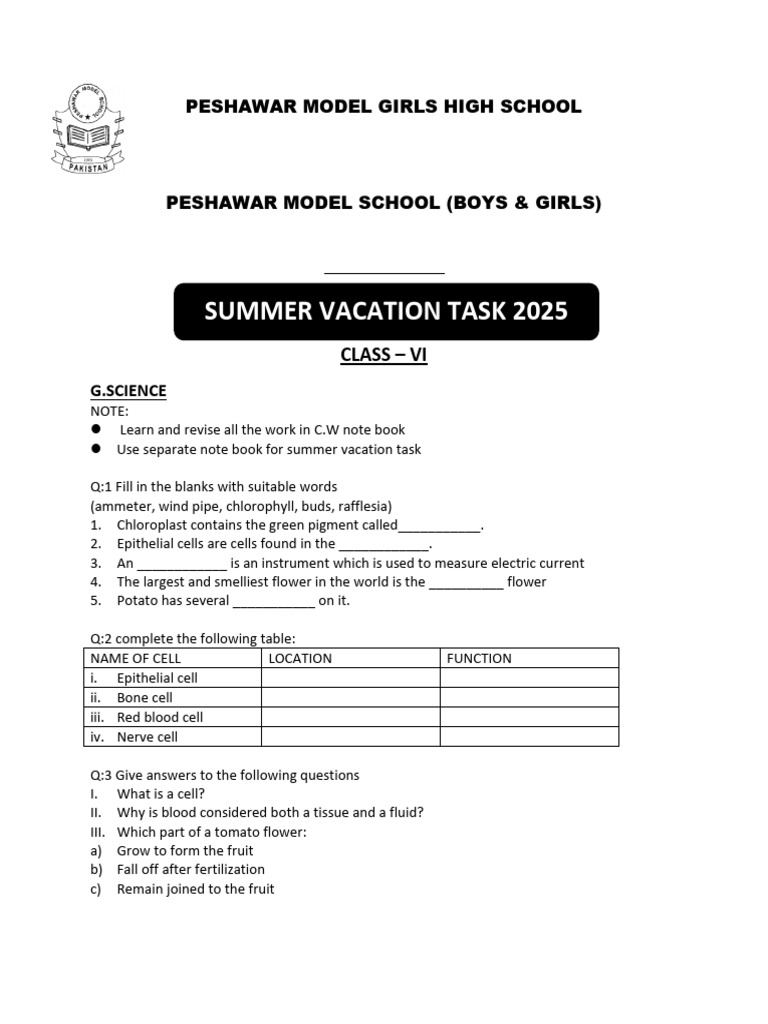 Summer Vacation Task 2025: Peshawar Model Girls High School | PDF