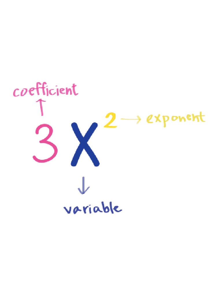 Monomial Coefficient Exponent Variable | PDF