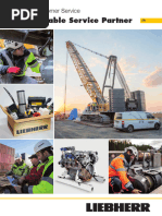 Liebherr Brochure Lubricants en | PDF | Motor Oil | Lubricant