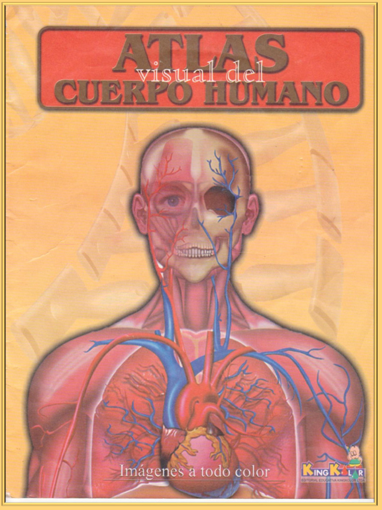 Atlas Cuerpo Humano | PDF