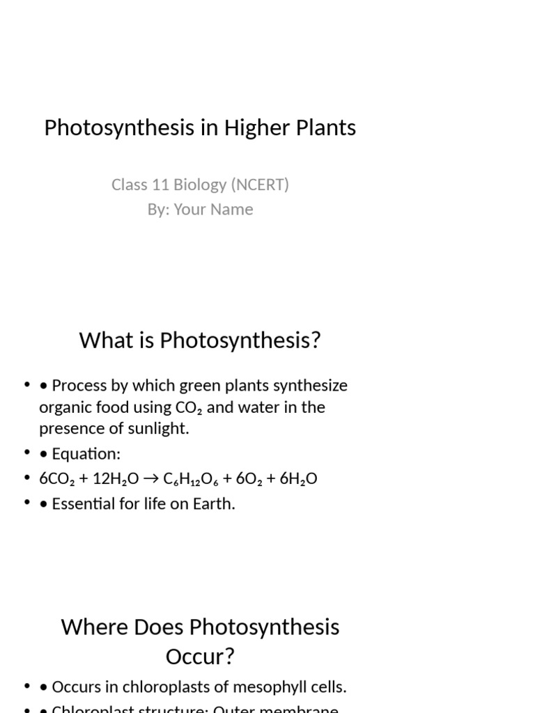 Photosynthesis Overview for Class 11 | PDF | Photosynthesis | Chloroplast