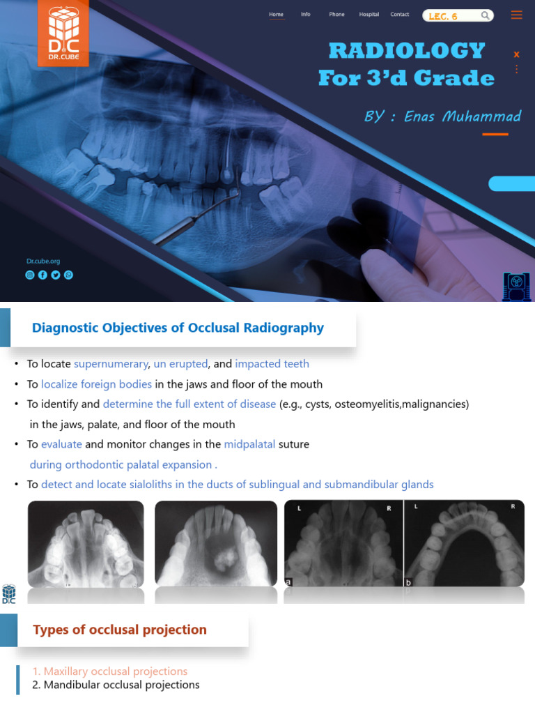 Occlusal Projections in Radiography | PDF | Anatomical Terms Of ...