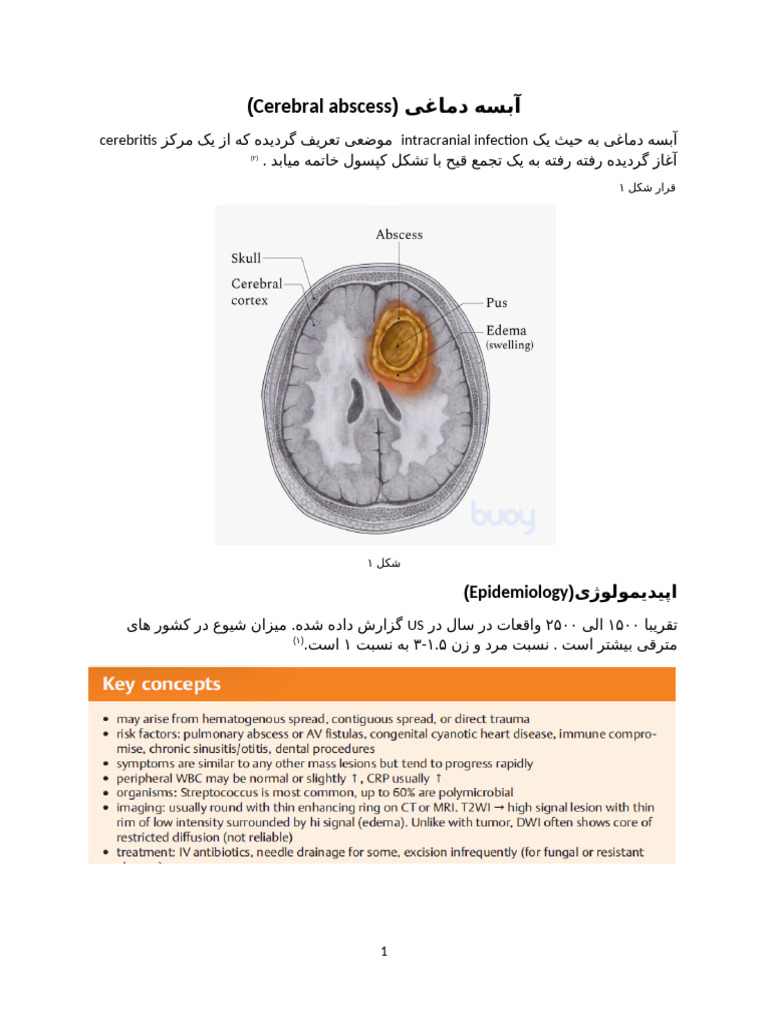Cerebral Abscess | PDF