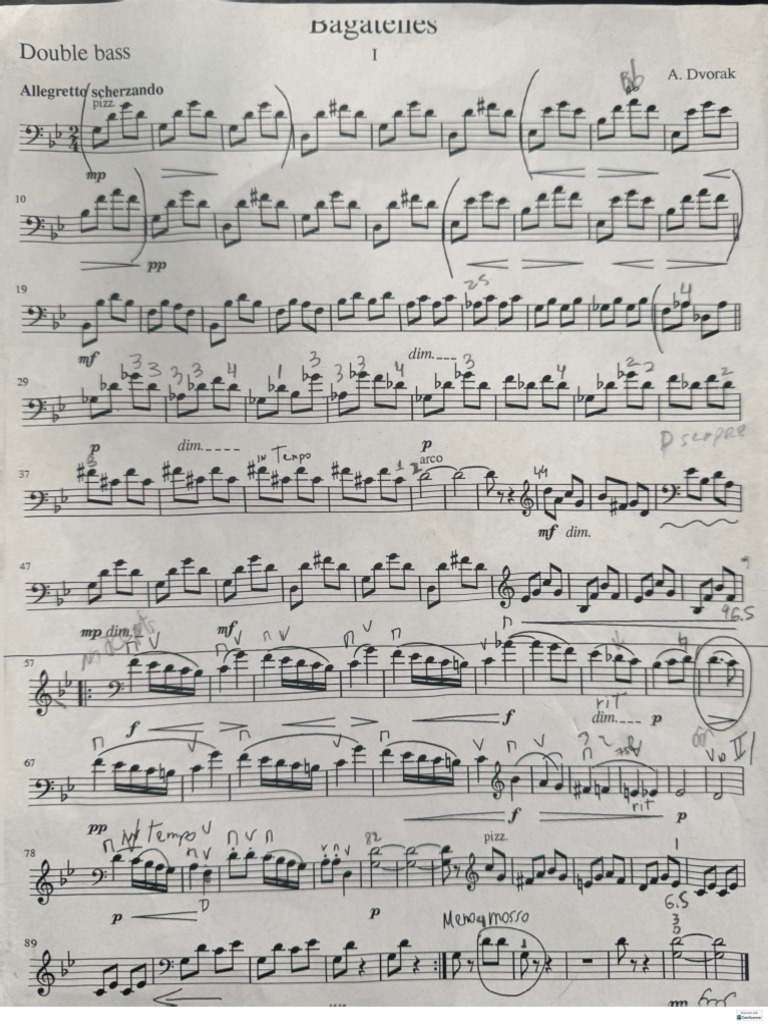 Bagatelles Dvorak (I and V MVT) Fernando | PDF