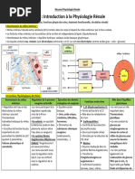 Anatomie et Régulation du Débit Sanguin Rénal | PDF | Rein | Vaisseau ...