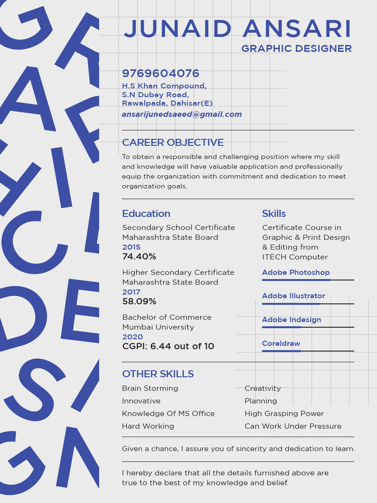 Junaid CV | PDF