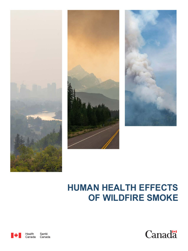 Human Health Effects Wildfire Smoke | PDF | Wildfire | Smoke