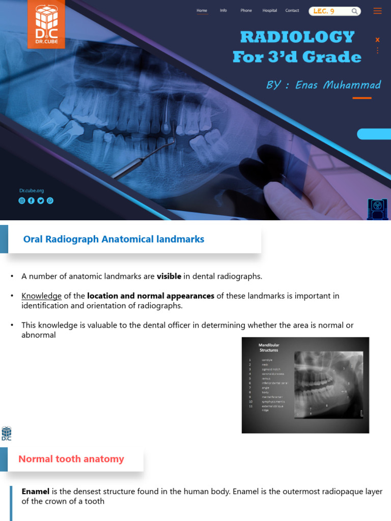 Radio Lec.9 Anatomical Landmarks | PDF | Human Tooth | Dental Anatomy
