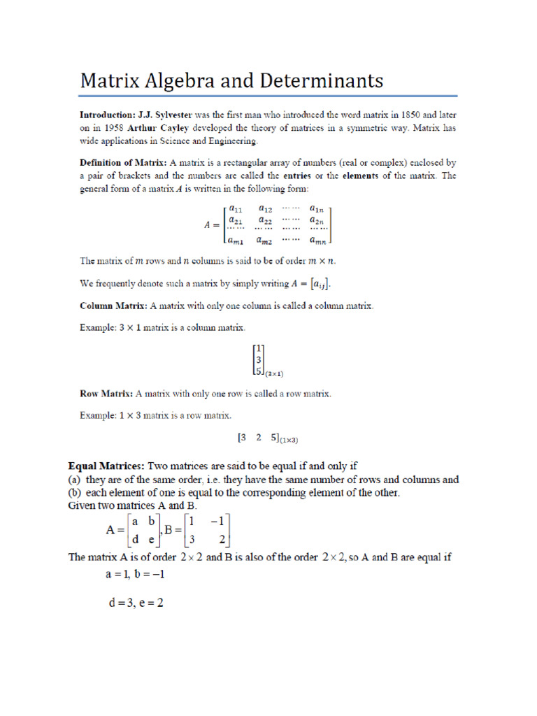 Matrix Determinants and Operations Guide | PDF