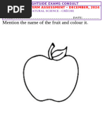 Official BECE Style Shading Sheet | PDF