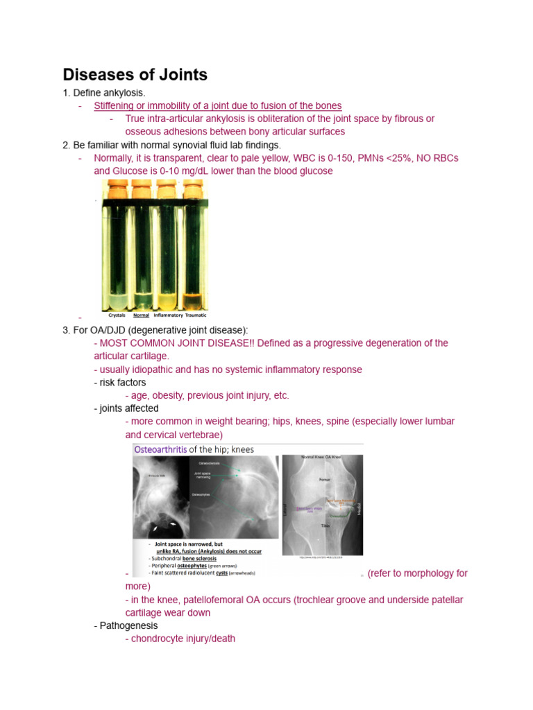 Overview of Joint Diseases and Disorders | PDF | Gout | Bone