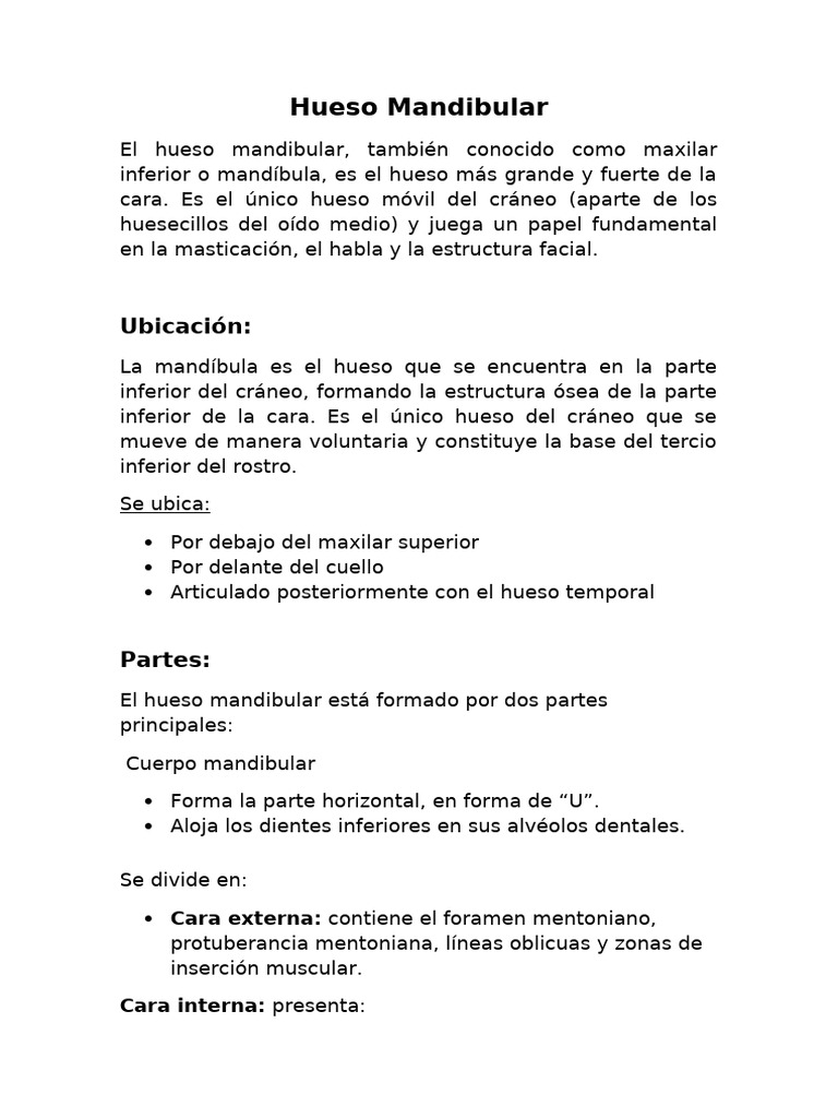 Hueso Mandibular | PDF | Sistema musculoesquelético | Cabeza y cuello ...