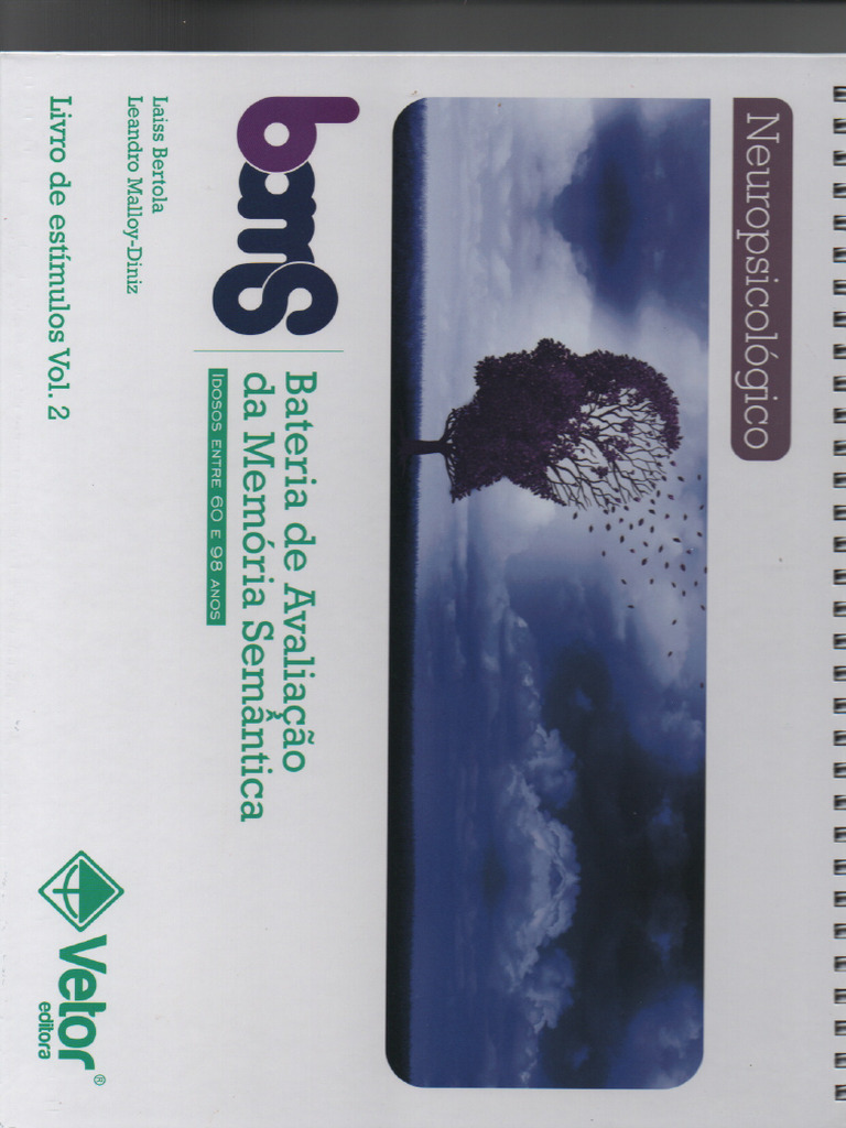 Livro de Estímulo BAMS | PDF