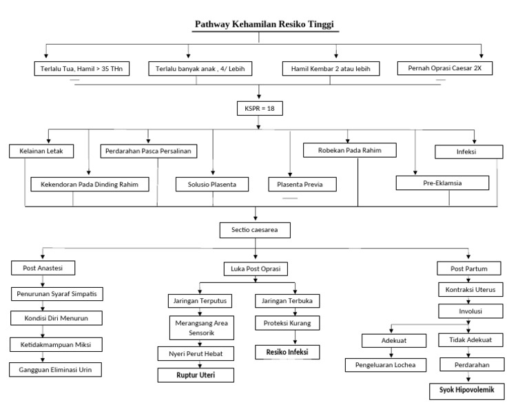 Pathway Kehamilan Resiko Tinggi | PDF