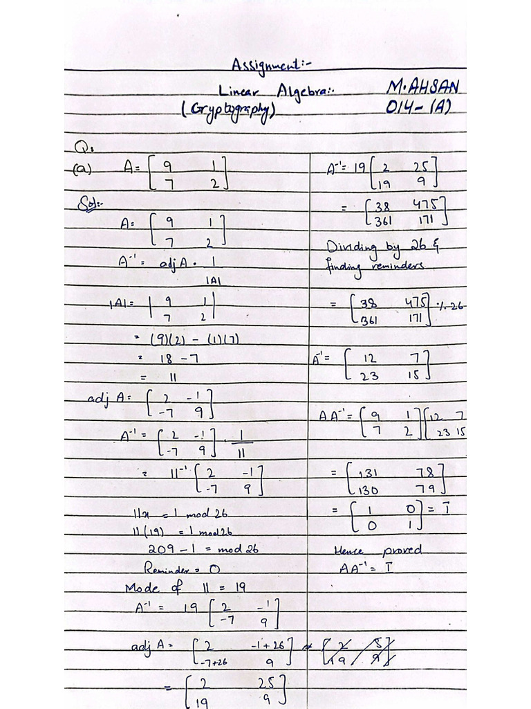 Linear Algebra (Cryptography) | PDF