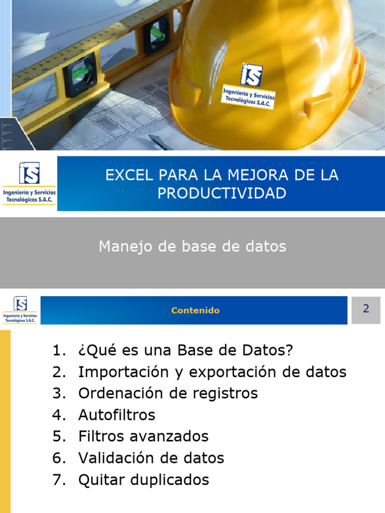 Unidad 2 Manejo de Base de Datos | PDF | Bases de datos | Microsoft Excel