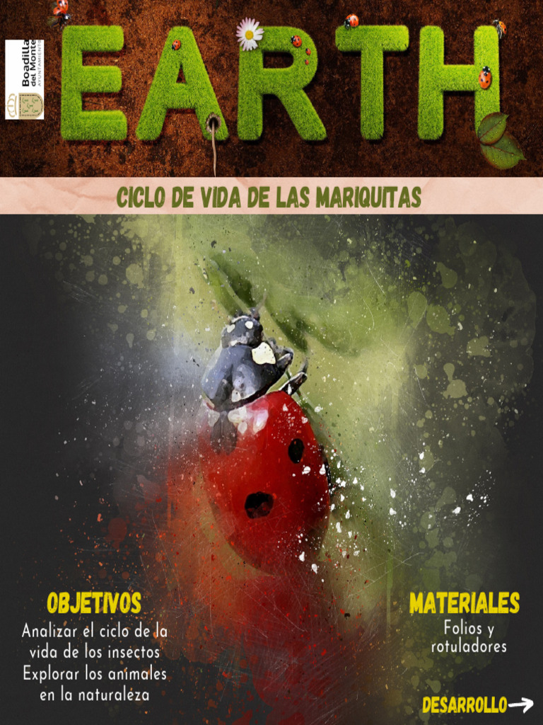 Actividad 352. 14 de Marzo Ciclo de Vida de Las Mariquitas | PDF