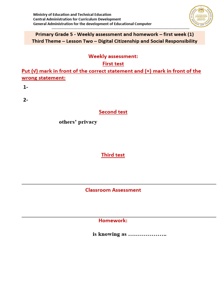 Grade 5 Digital Citizenship Assessments | PDF | Curriculum | Software