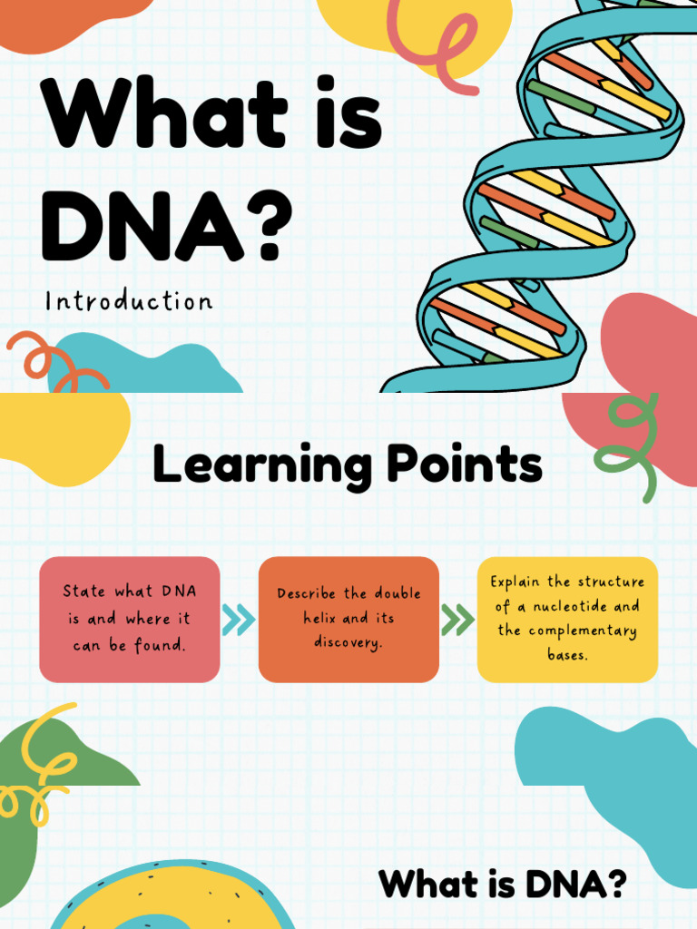 DNA Structure Biology Presentation in A Colorful Bold Style - 20250723 ...