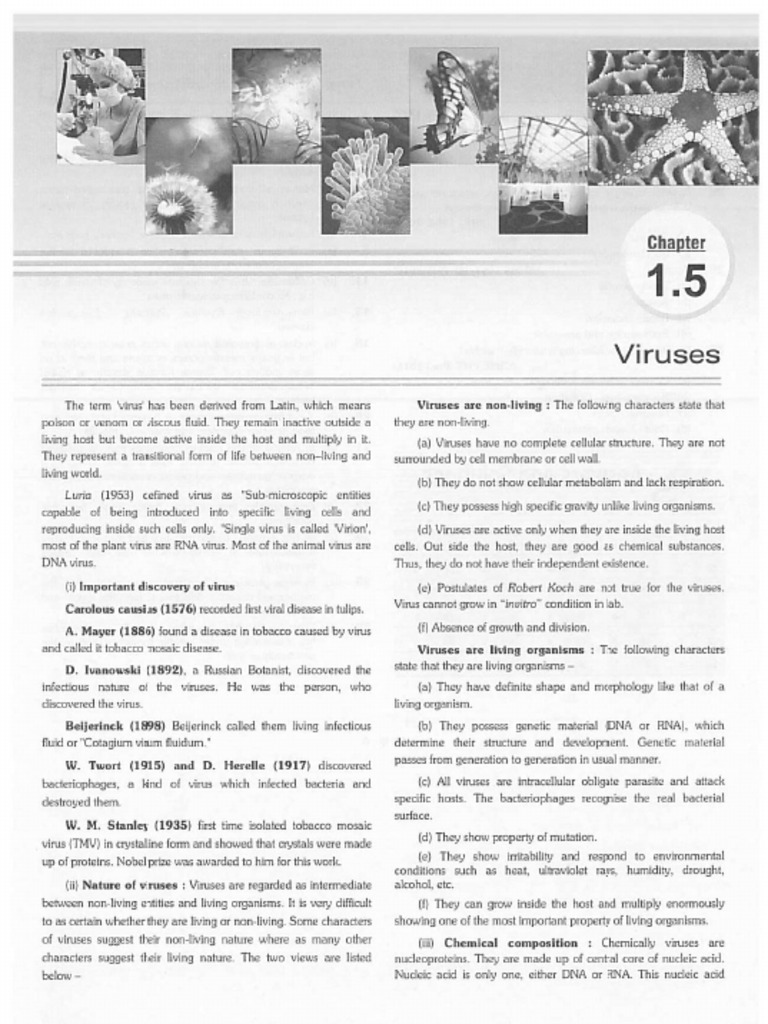 USS Errorless Biological Classification Viruses PDF | PDF