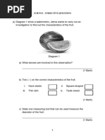 Year 2 Exam Paper 2023 NEW | PDF | Cognitive Science