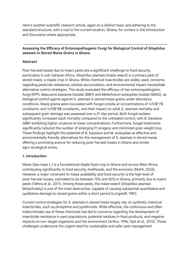 Biological Control of Maize Weevil in Ghana | PDF | Biological Pest ...