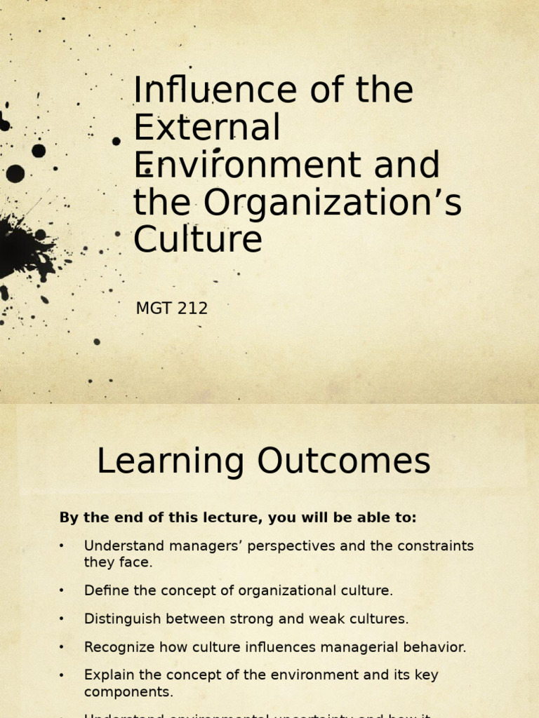 Influence of The External Environment and The Organization's Culture ...