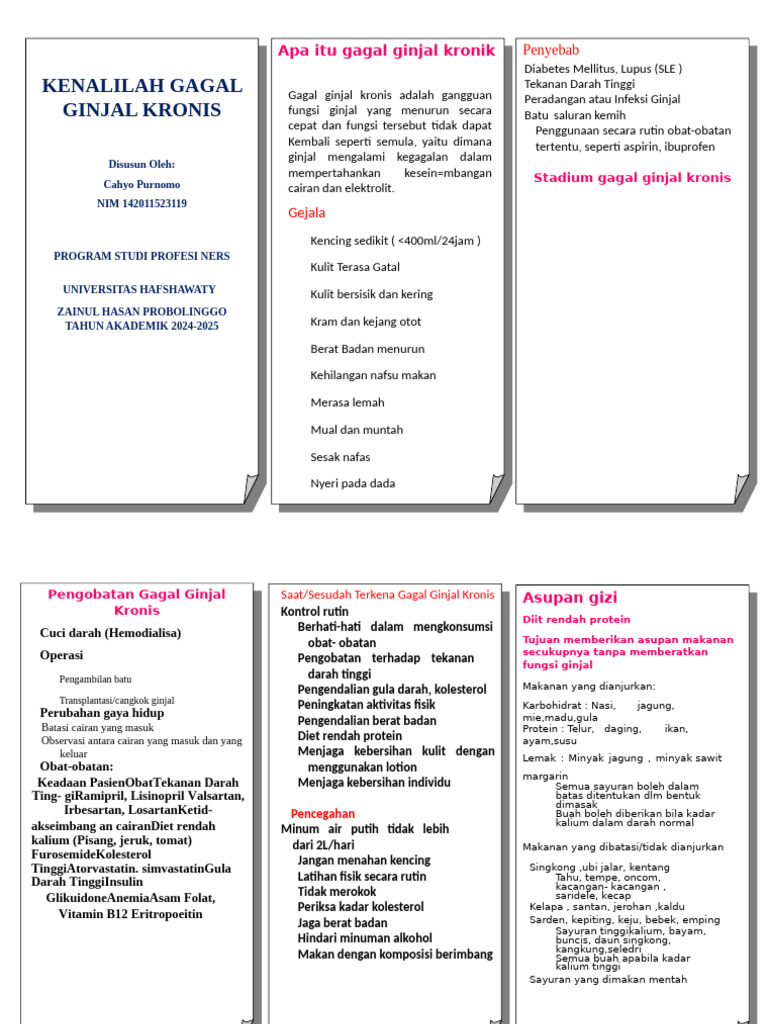 Leaflet CKD | PDF
