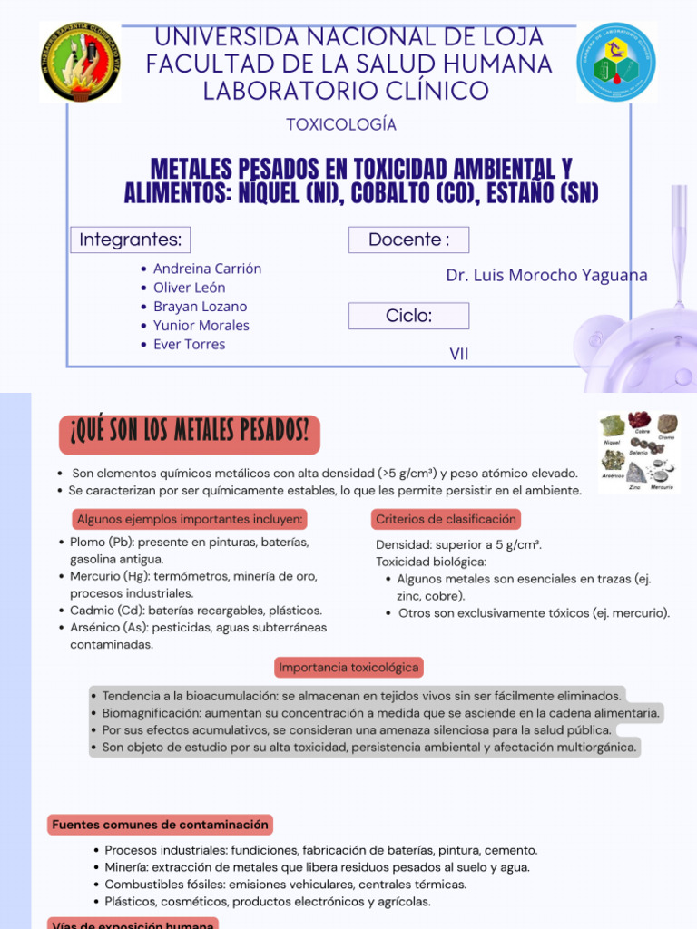 GRUPO 3 - SEMANA 12 - Metales Pesados | PDF