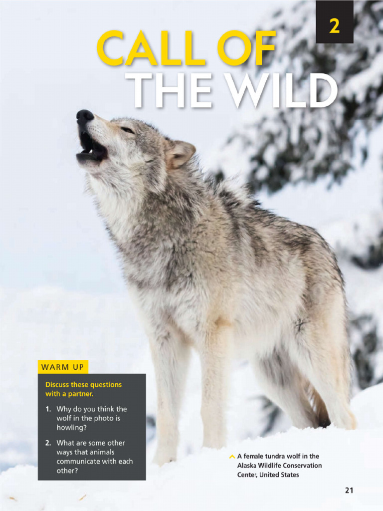 (SB) - Reading Explorer 2 (1.2-21-28 | PDF