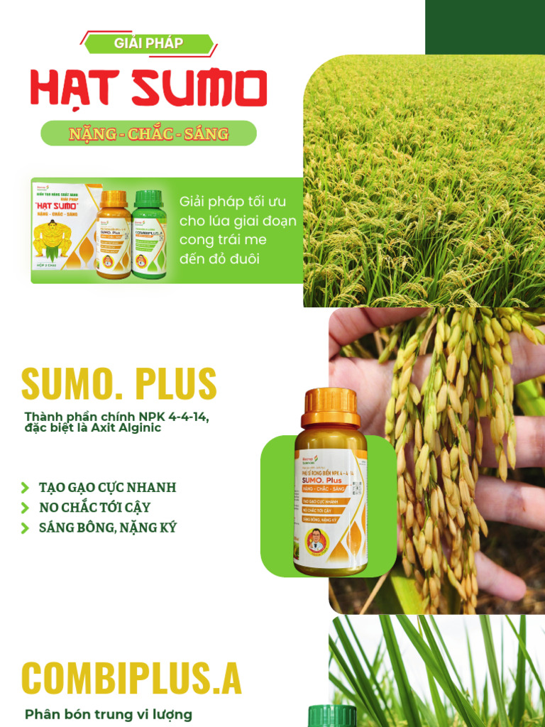 Catalogue H T SUMO | PDF