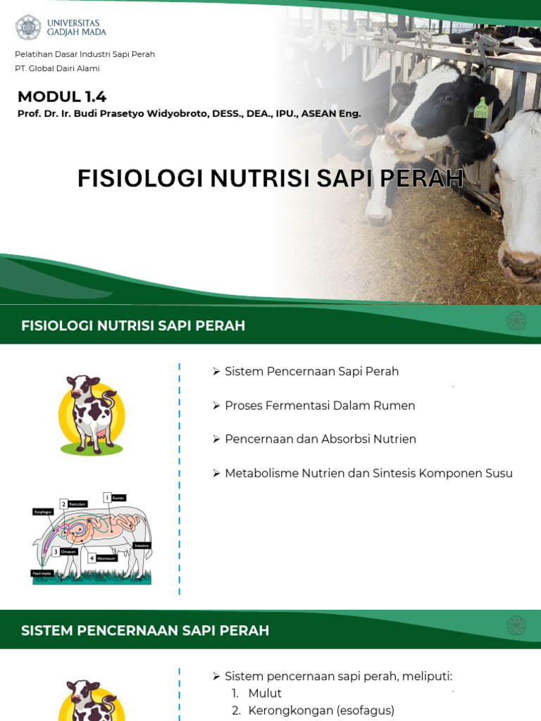 PDF - GDA - 2025 - Fisiologi Nutrisi Sapi Perah | PDF