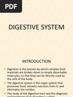 Rabbit Digestive & Respiratory Dissection Guide | PDF ...