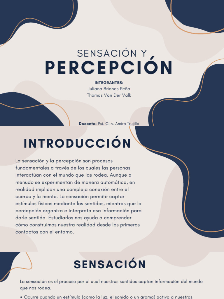 Sensacion y Percepcion | PDF | Percepción | Sentidos