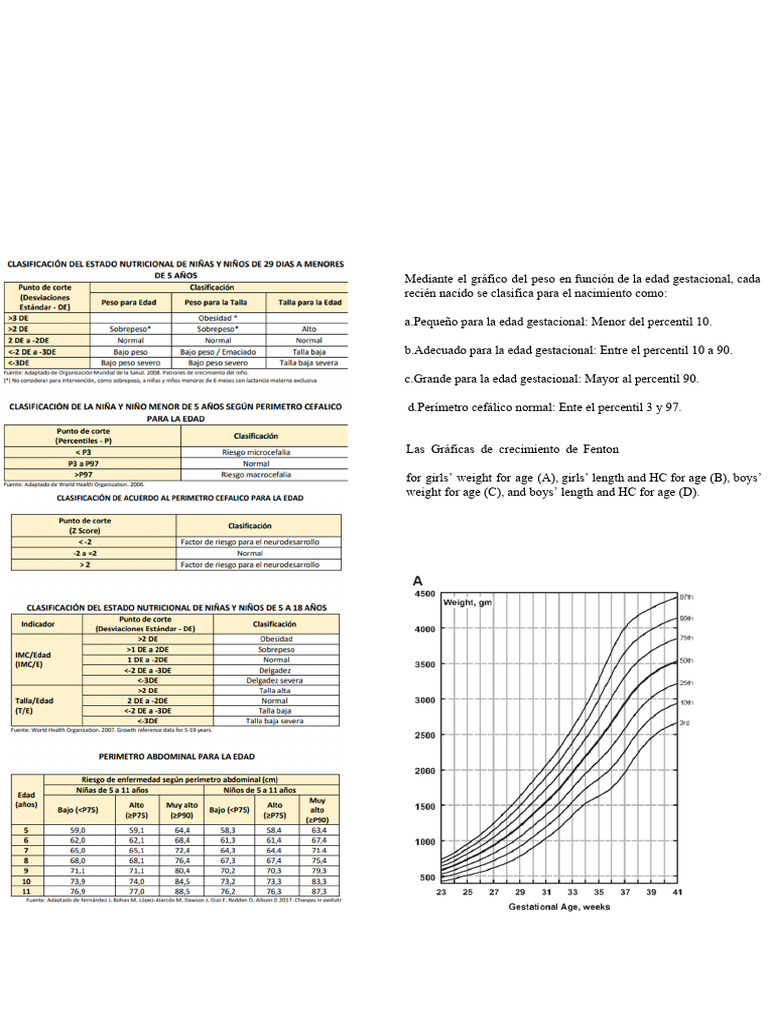 Prácticas (1s) | PDF