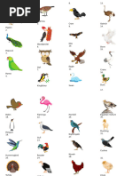 Bird Watching Guide | PDF