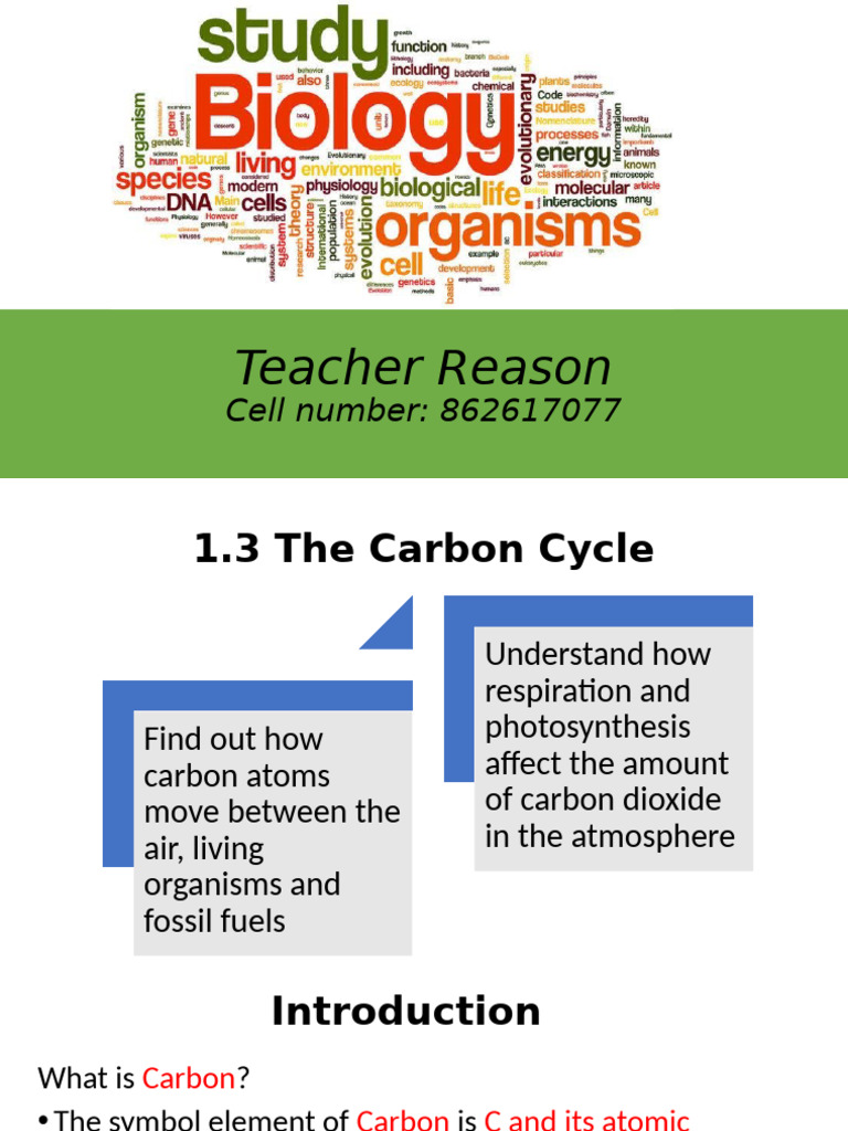 1.3 The Carbon Cycle | PDF | Carbon | Photosynthesis