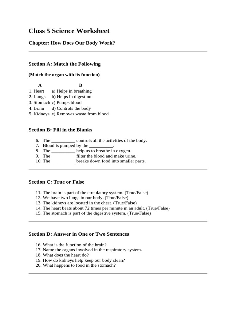 Class 5 Science Worksheet OUR BODY | PDF | Heart | Blood