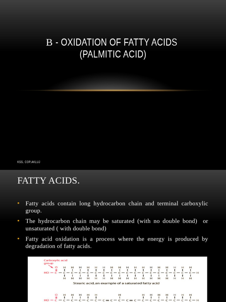 Beta Oxidation of Palmitic Acid Steps | PDF | Fatty Acid | Mitochondrion