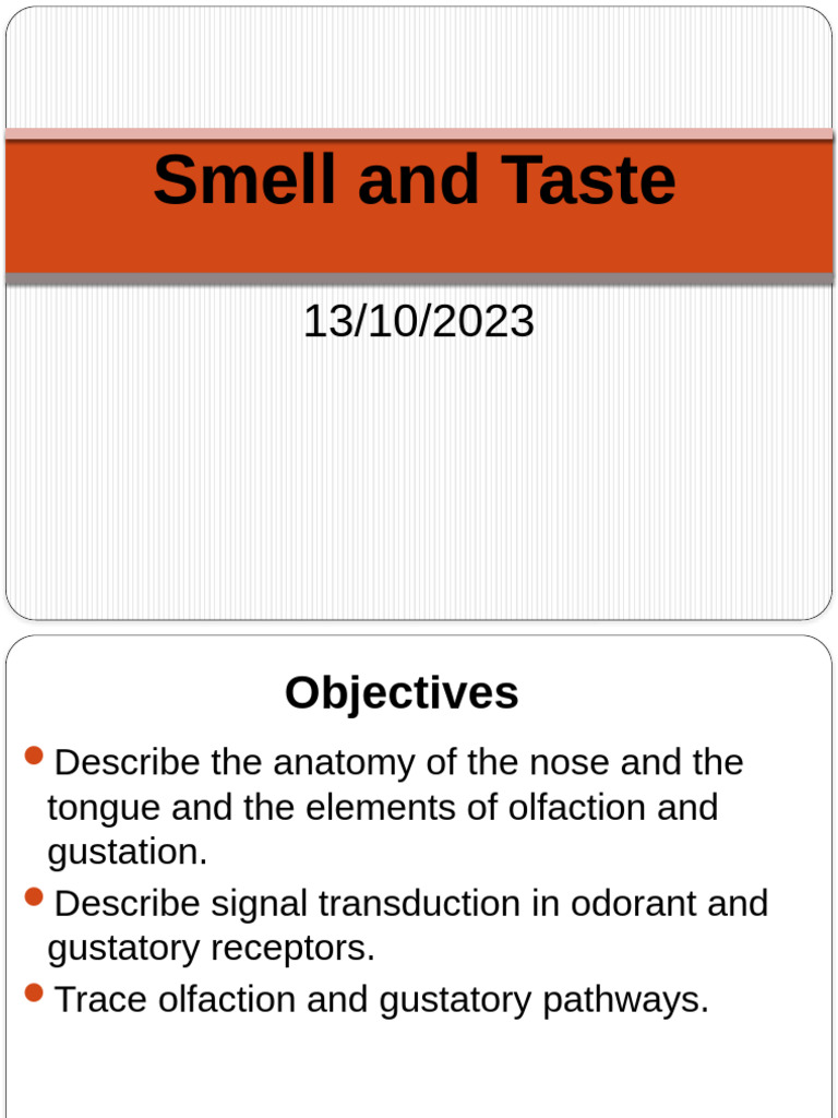 Anatomy and Function of Smell and Taste | PDF | Taste | Olfactory System