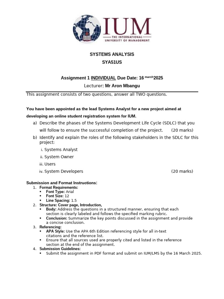 System Analysis-Assignment 1 2025 | PDF