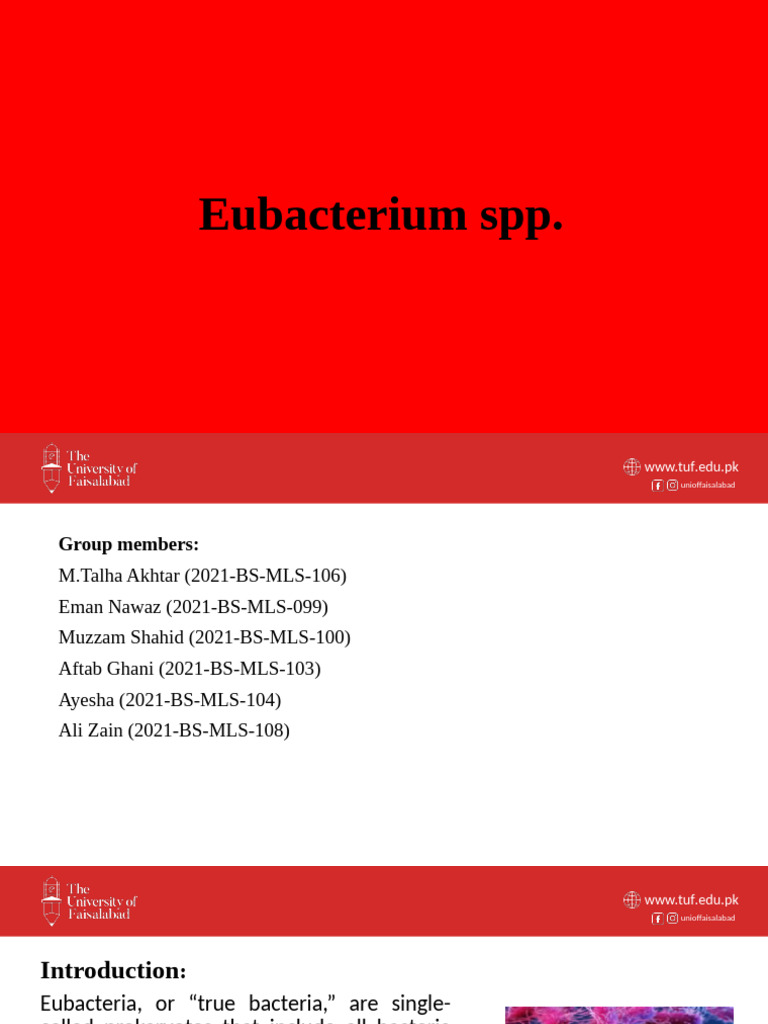 Eubacterium Species 106 | PDF | Bacteria | Cell (Biology)
