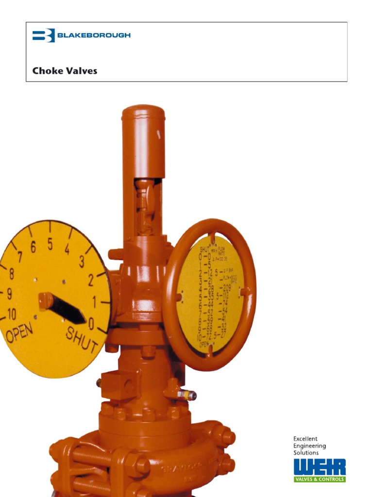 Blakeborough Choke Valve | PDF | Valve | Chemical Engineering