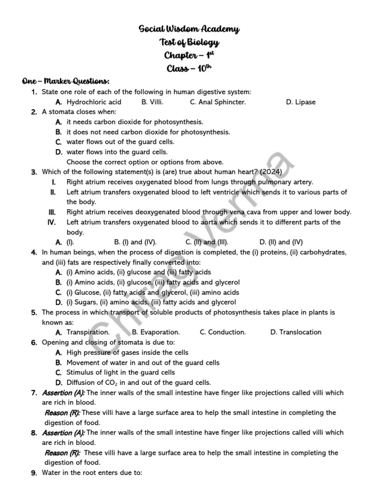 Class 10 Biology Digestive System Quiz | PDF | Atrium (Heart) | Water