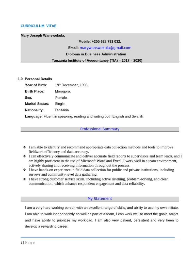 Bint Kitundu Updated Curriculum Vitae | PDF